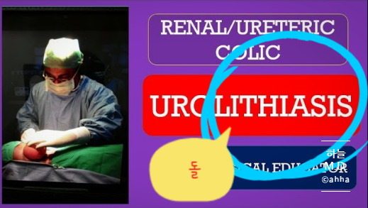 의학용어 Suffix(2) -genesis, -osis, -sy, -us, -cele, -cyesis, -cyte, -dynia ...