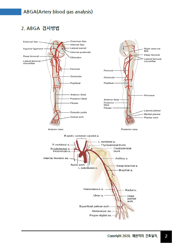 ABGA, abga, 동맥혈가스분석 목적, 해석, 검사방법 PDF : 네이버 블로그