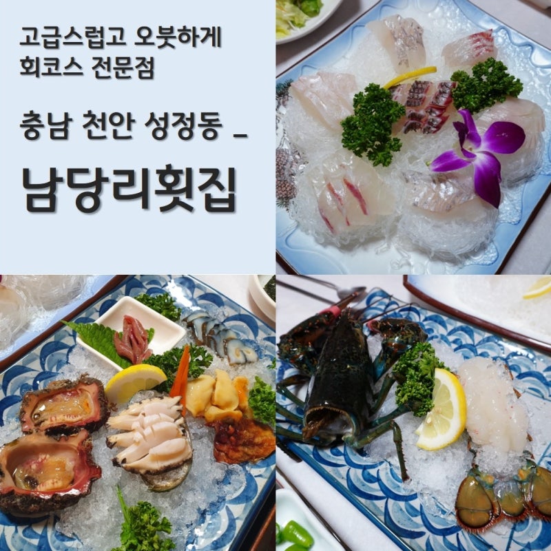 충남 천안 성정동 고급지게 즐기는 회코스요리 남당리횟집 남당리 사시미 코스요리 A 천안회코스전문점 천안성정동횟집