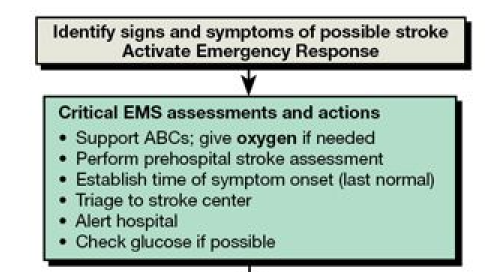 [ACLS(Advanced Cardiovascular Life Support)7-3]Adult Suspected Stroke ...
