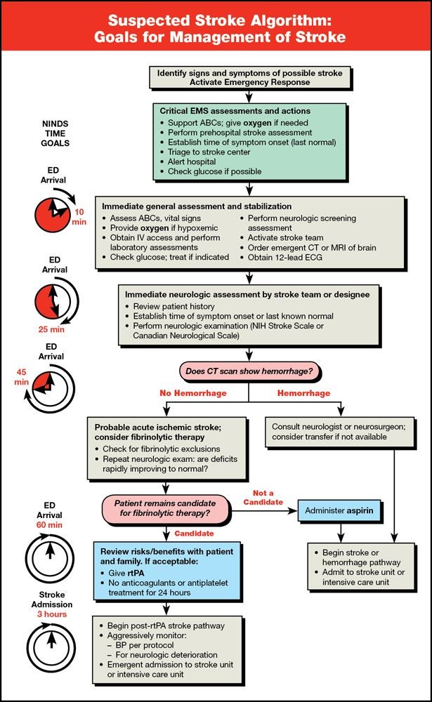 [ACLS(Advanced Cardiovascular Life Support)7-3]Adult Suspected Stroke ...
