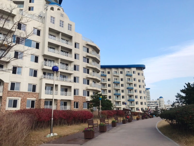 쏠비치 삼척 스위트 취사형 파노라마스위트 룸 업그레이드 네이버 블로그