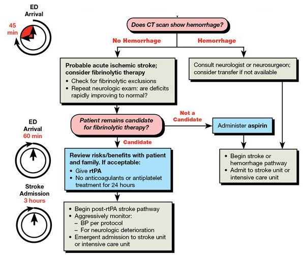 [ACLS(Advanced Cardiovascular Life Support)7-3]Adult Suspected Stroke ...