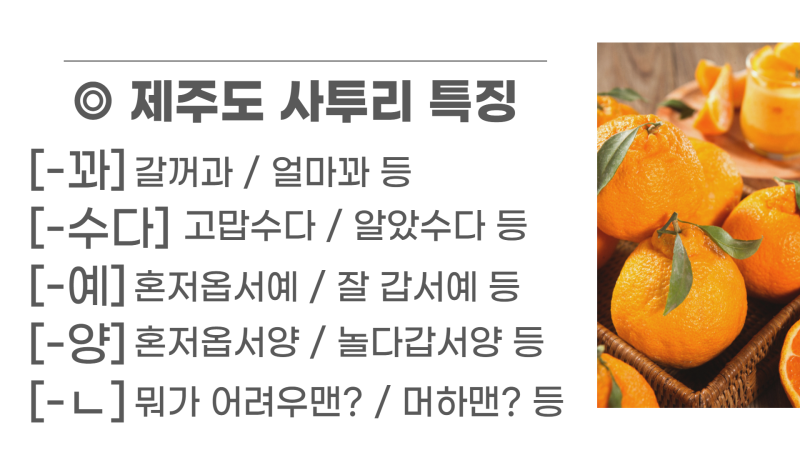 알고나면 재밌는 제주도 사투리방언 모음 네이버 블로그