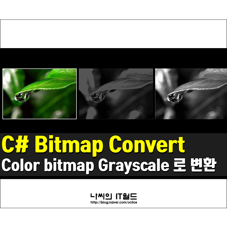 C# Bitmap Convert (32bit -> 24bit -> 8bit) : 네이버 블로그