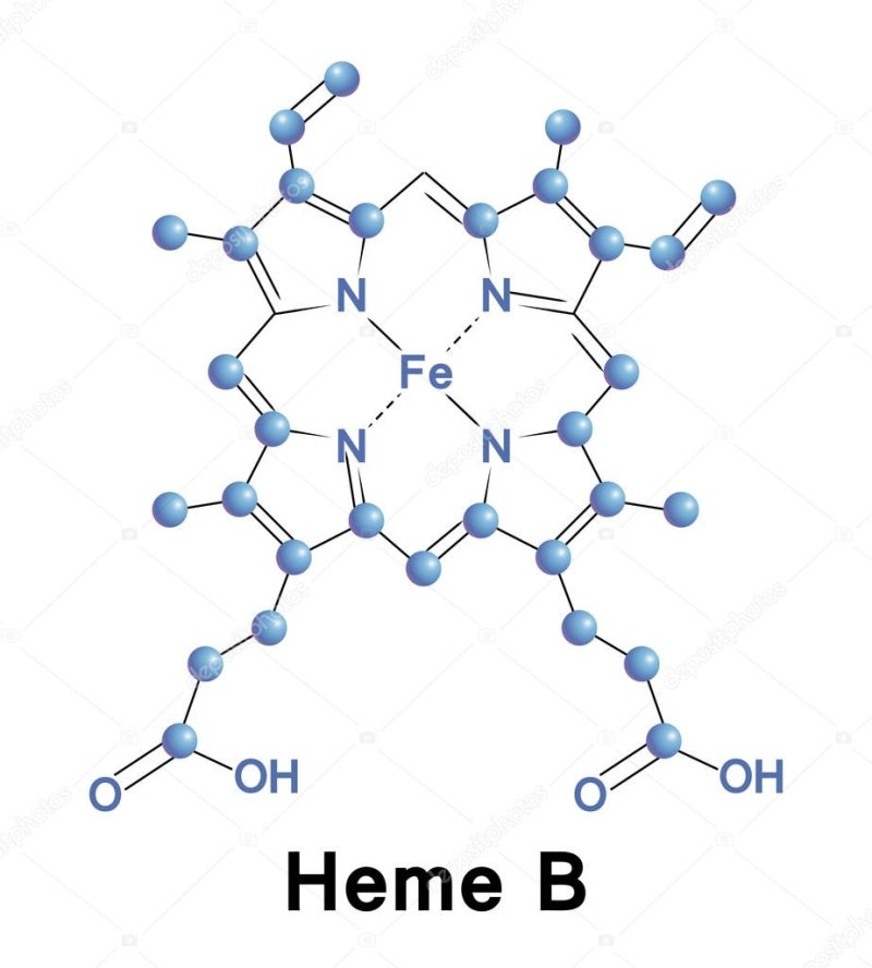 성장중인 대체육 시장, 핵심은 분자특허! : 네이버 블로그