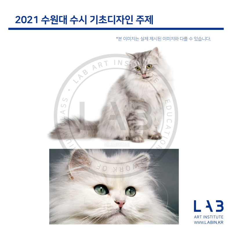 실시간 수시갈랩 2021학년도 수원대 수시 기초디자인 주제 모음 네이버 블로그