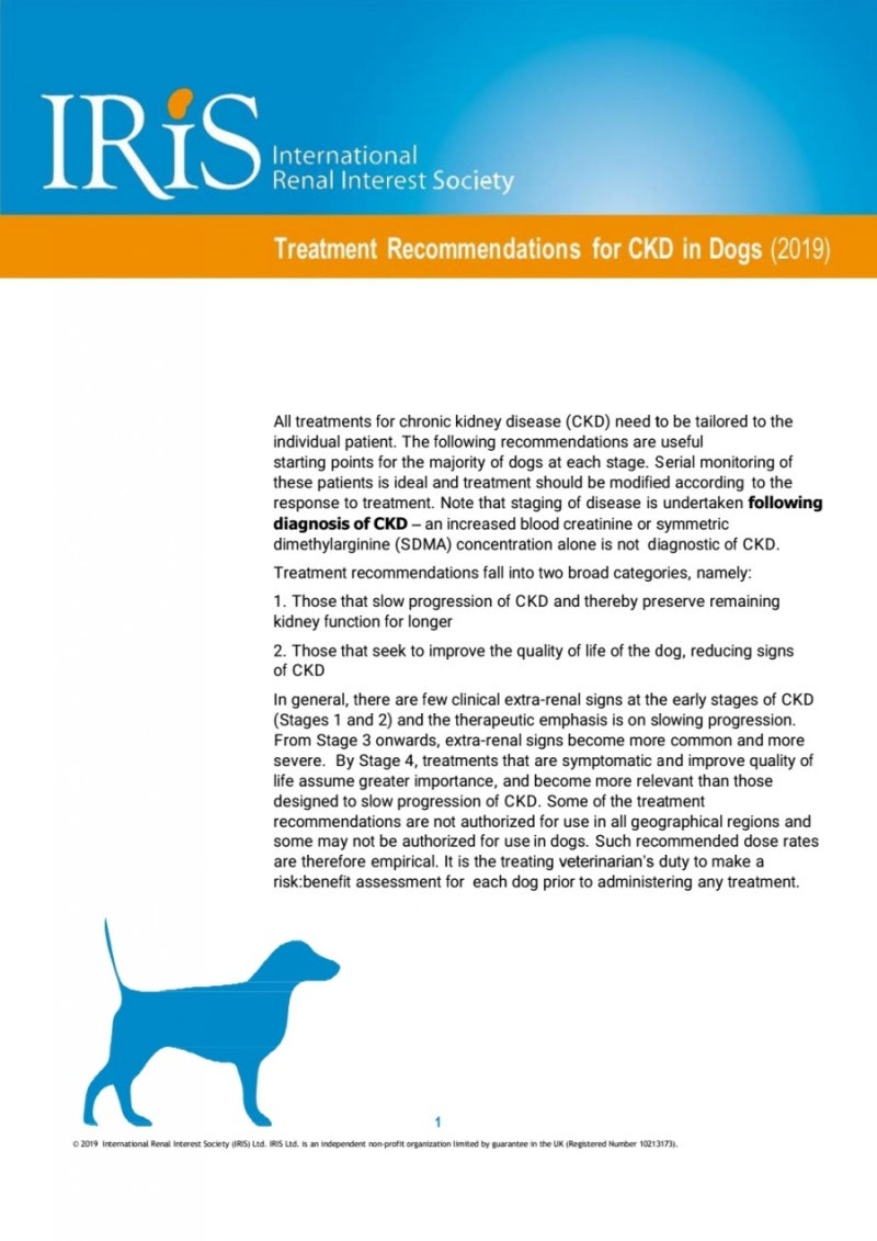 반려동물 국제신장학회 IRIS + ISFM의 가이드라인 (단백질과 인 섭취) : 네이버 블로그