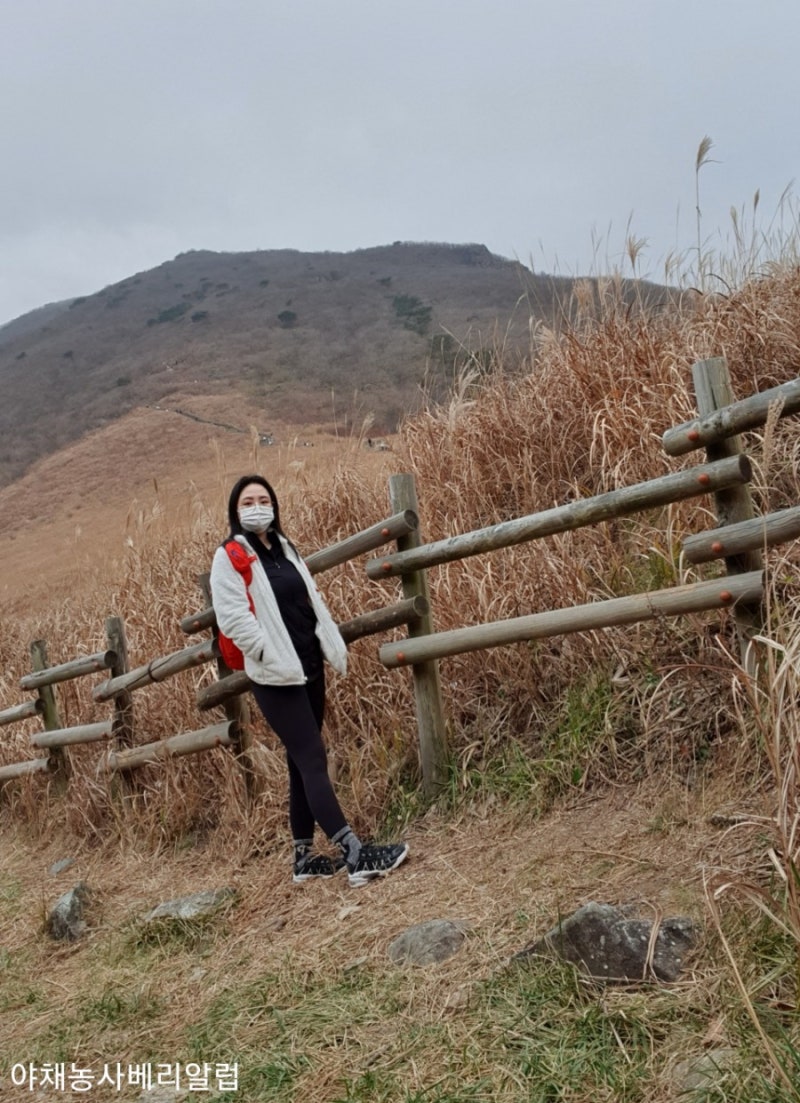 혼자여행 울산 간월재해발900m초보코스사슴농장소유시간주차장화장실 네이버 블로그