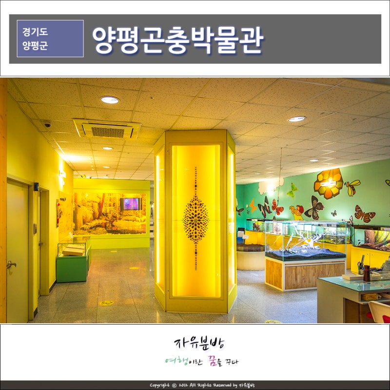 경기도 아이들과 가볼만한곳 양평곤충박물관 사슴벌레 특별전 네이버 블로그