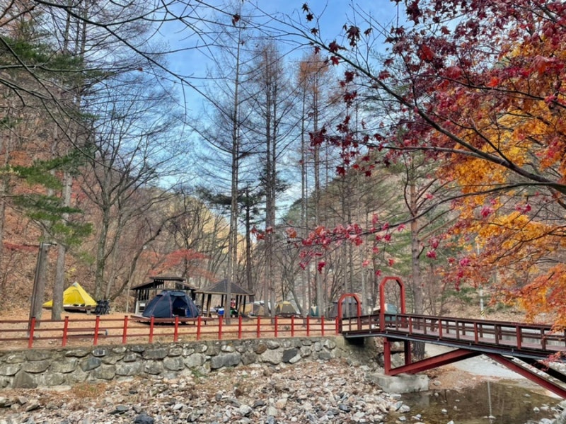 울진 통고산 자연휴양림 제 1야영장 일곱번째 캠핑이야기 네이버 블로그