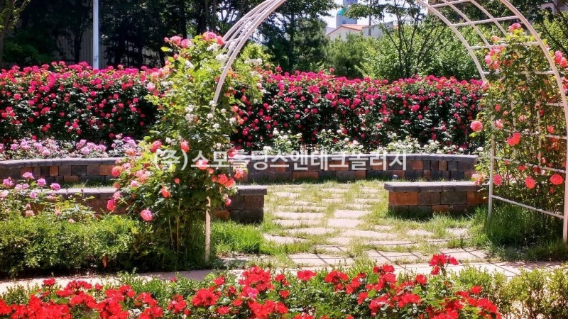 조경블럭 컨츄리매너블럭 플랜터 시공모음조경블록매너블럭컨추리블럭컨트리매너블럭컨트리블럭옥상조경플랜터블럭경관블럭