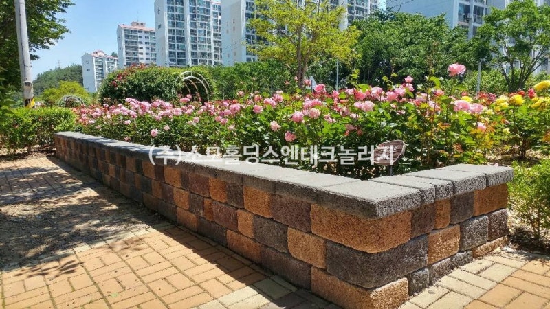 조경블럭 컨츄리매너블럭 플랜터 시공모음조경블록매너블럭컨추리블럭컨트리매너블럭컨트리블럭옥상조경플랜터블럭경관블럭