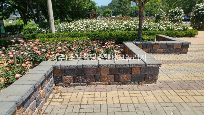 조경블럭 컨츄리매너블럭 플랜터 시공모음조경블록매너블럭컨추리블럭컨트리매너블럭컨트리블럭옥상조경플랜터블럭경관블럭