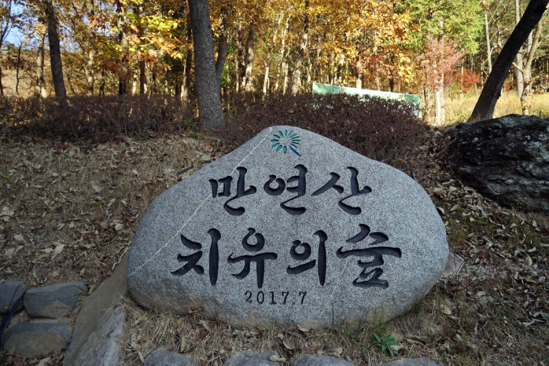 전남 화순 가볼만한곳 남산공원 외 10곳 총정리 네이버 블로그