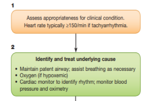 [ACLS(Advanced Cardiovascular Life Support)7-5]TachyCardia Algorithm ...
