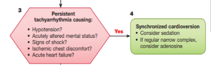 [ACLS(Advanced Cardiovascular Life Support)7-5]TachyCardia Algorithm ...
