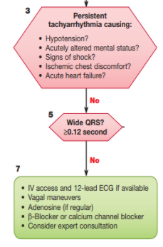 [ACLS(Advanced Cardiovascular Life Support)7-5]TachyCardia Algorithm ...