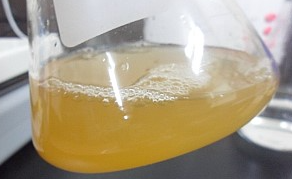 BPA(Baird-Parker Agar) 배지 만들기 : 네이버 블로그