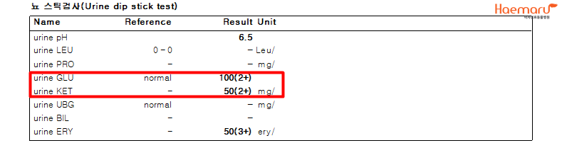 강아지 당뇨 치료케이스로 보는 증상과 관리 방법 네이버 블로그