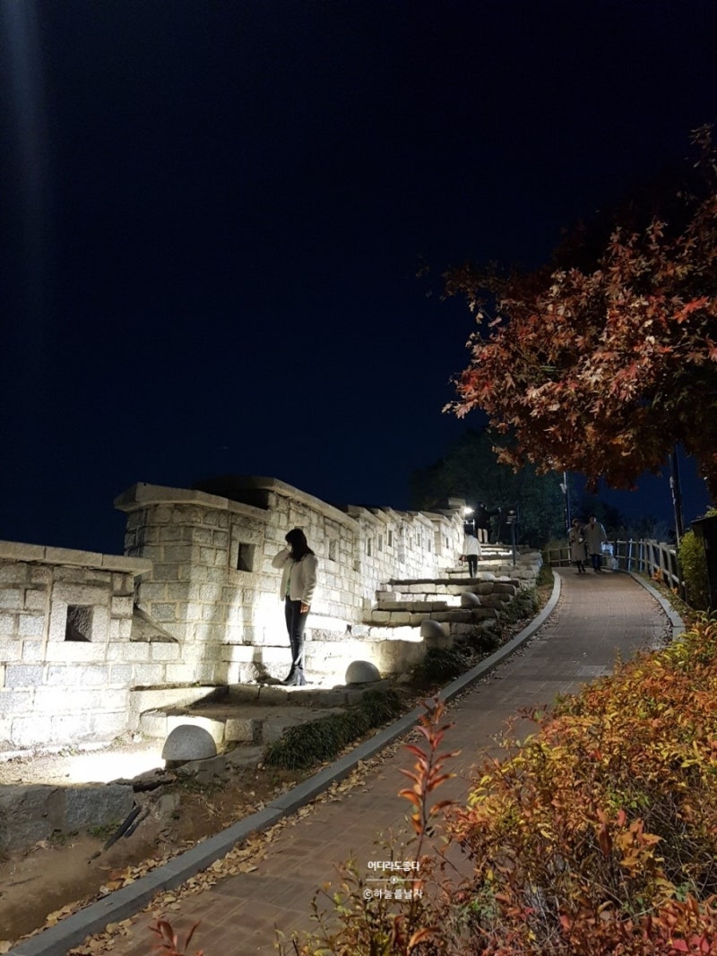 서울 낙산공원 야경보러 여행 추억 남기기 (주차) : 네이버 블로그