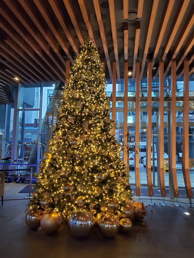 결혼 2주년 : 노보텔 엠버서더 동대문 호텔 / 종로 묘미(myomi) 디너 : 네이버 블로그