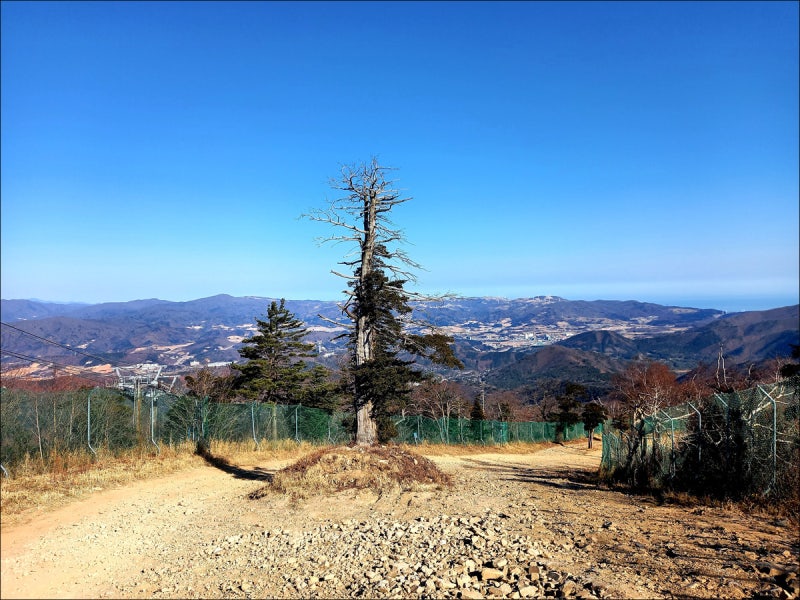 평창 발왕산 산행 용평리조트 발왕산관광케이블카 발왕산 氣스카이워크 발왕산 정상 엄홍길코스로 하산 드래곤프라자 네이버 블로그