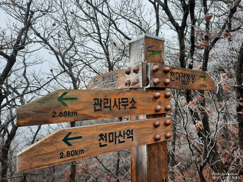 남양주 천마산 최단 등산코스 천마산역~정상~수진사 호평동 네이버 블로그