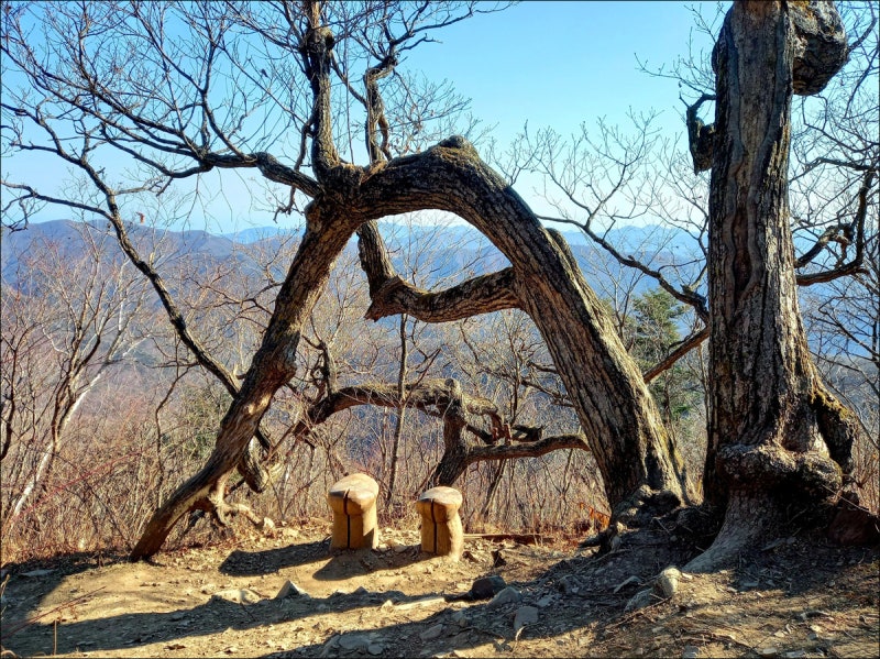 평창 발왕산 산행 용평리조트 발왕산관광케이블카 발왕산 氣스카이워크 발왕산 정상 엄홍길코스로 하산 드래곤프라자 네이버 블로그