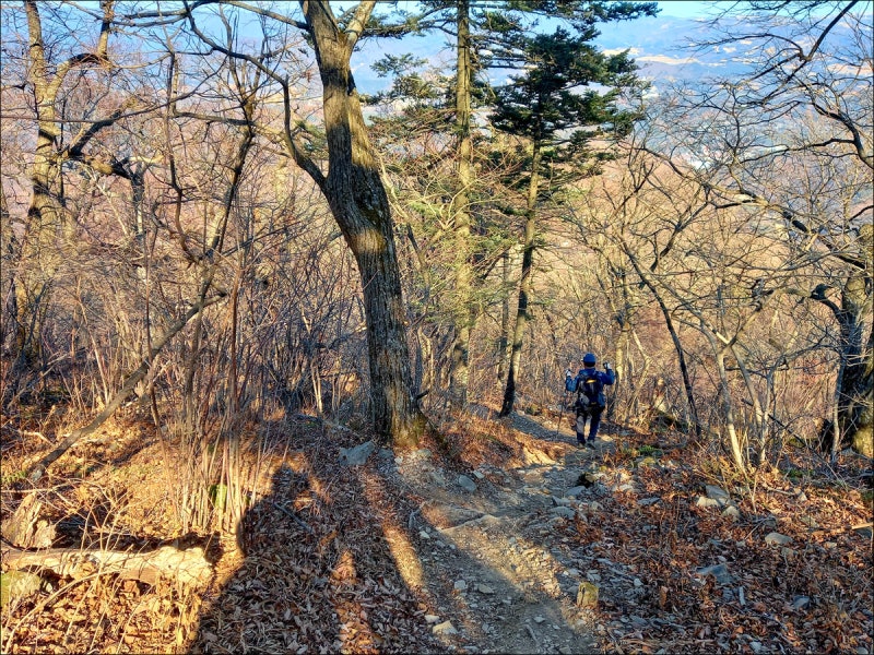평창 발왕산 산행 용평리조트 발왕산관광케이블카 발왕산 氣스카이워크 발왕산 정상 엄홍길코스로 하산 드래곤프라자 네이버 블로그