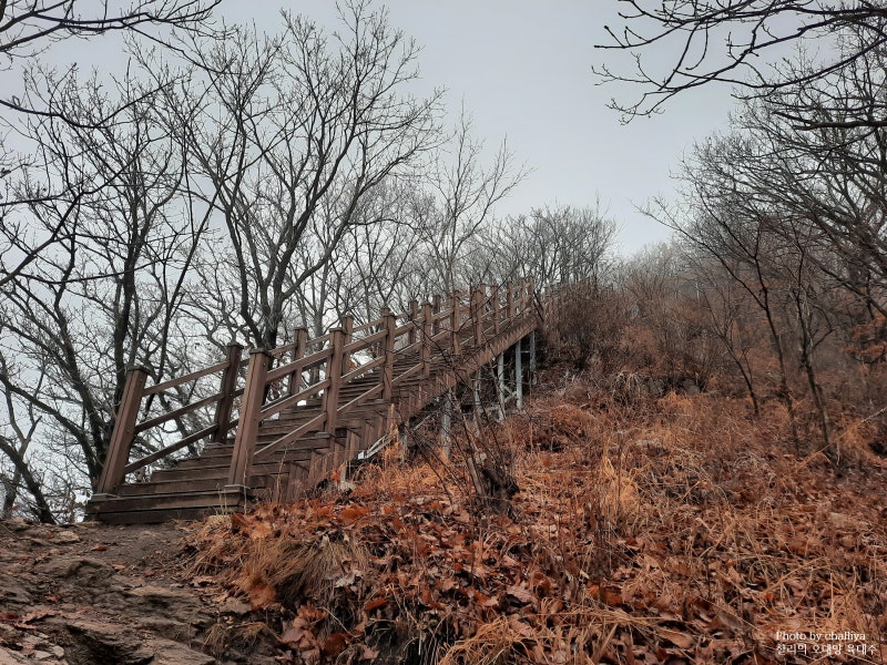 남양주 천마산 최단 등산코스 천마산역~정상~수진사 호평동 네이버 블로그