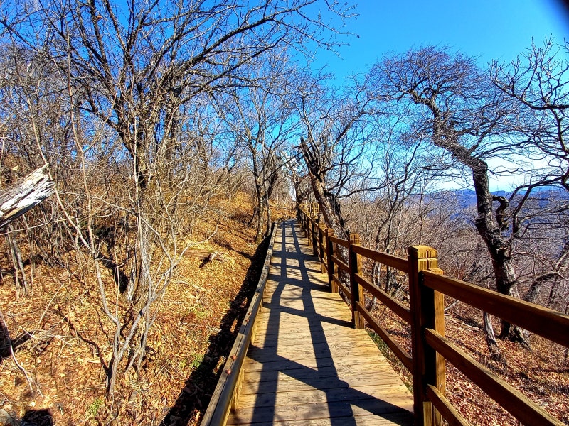 평창 발왕산 산행 용평리조트 발왕산관광케이블카 발왕산 氣스카이워크 발왕산 정상 엄홍길코스로 하산 드래곤프라자 네이버 블로그