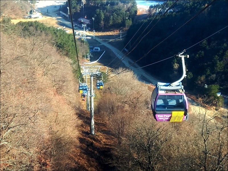 평창 발왕산 산행 용평리조트 발왕산관광케이블카 발왕산 氣스카이워크 발왕산 정상 엄홍길코스로 하산 드래곤프라자 네이버 블로그