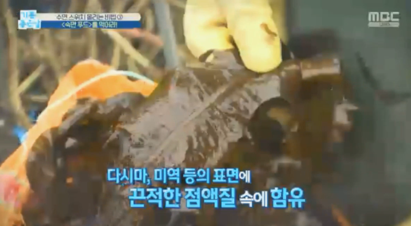 수면 영양제 감태 추출물 제주 감태 효능 네이버 블로그