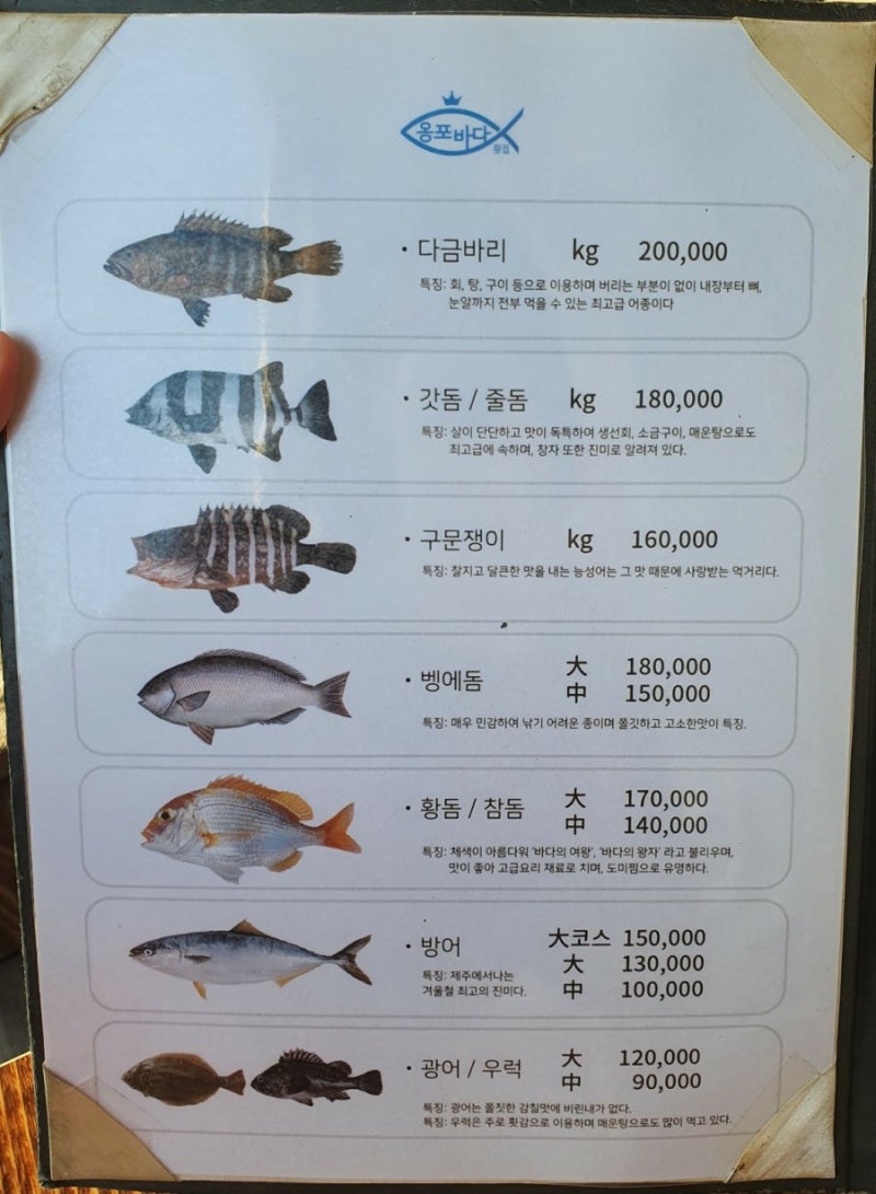 제주 협재 횟집 옹포바다횟집 내돈내산 솔직후기 네이버 블로그