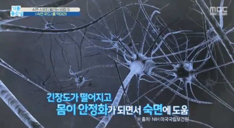 수면 영양제 감태 추출물 제주 감태 효능 네이버 블로그