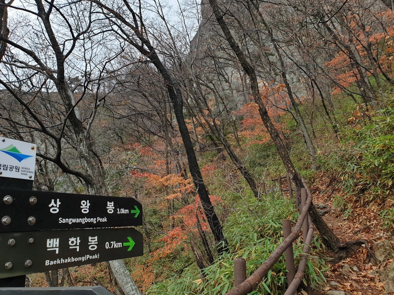 장성 백암산 등산코스 백양사~백학봉~상왕봉 지도 블랙야크 명산100 72번째 네이버 블로그