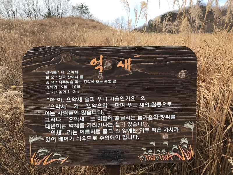 포천 명성산 등산 코스 억새밭 등산 코스와 산정호수 통제시간 100대 명산 책바위 비선폭포 화장실 위치 상동