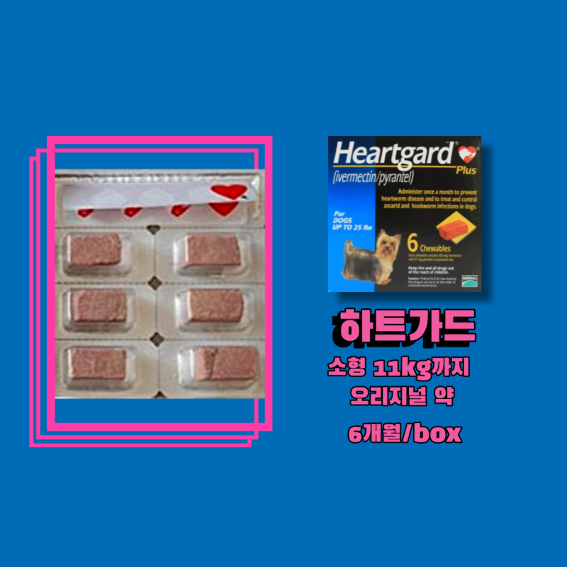 큐어벳 약이야기 고기맛 츄어블 심장사상충약 비교 하트가드 하트웜솔루션 하트세이버강아지심장사상충약 네이버 블로그
