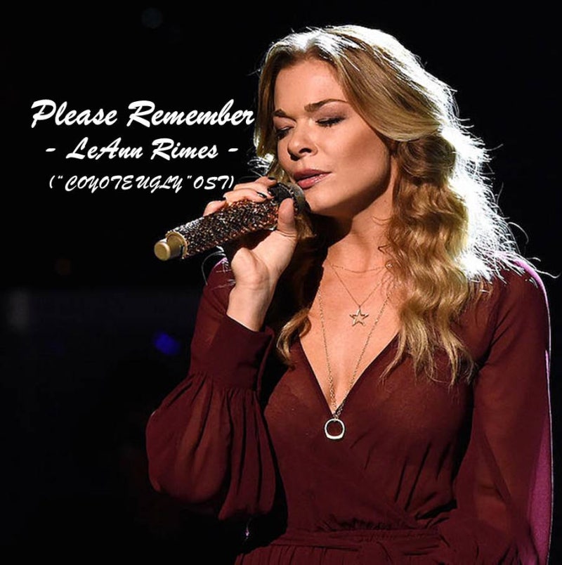 LeAnn Rimes(리앤라임스) - Please Remember(코요테어글리 OST) 가사/해석/듣기 : 네이버 블로그