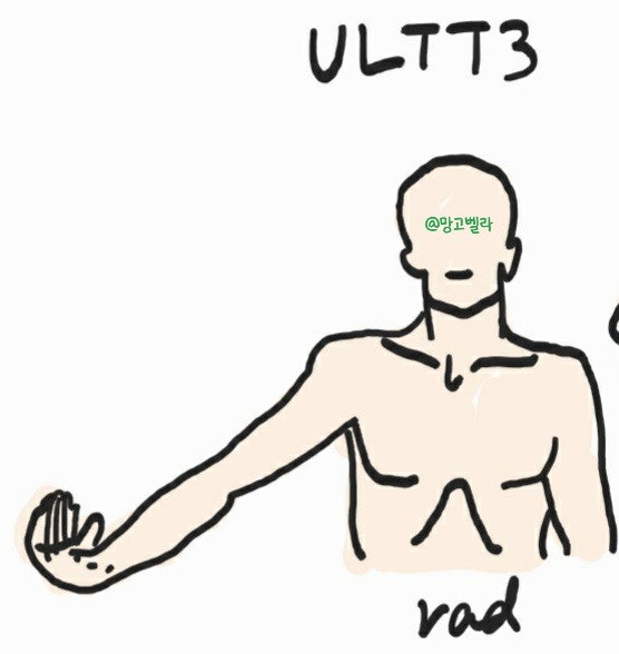 위팔긴장검사정리(ULTT or ULNT) : 네이버 블로그