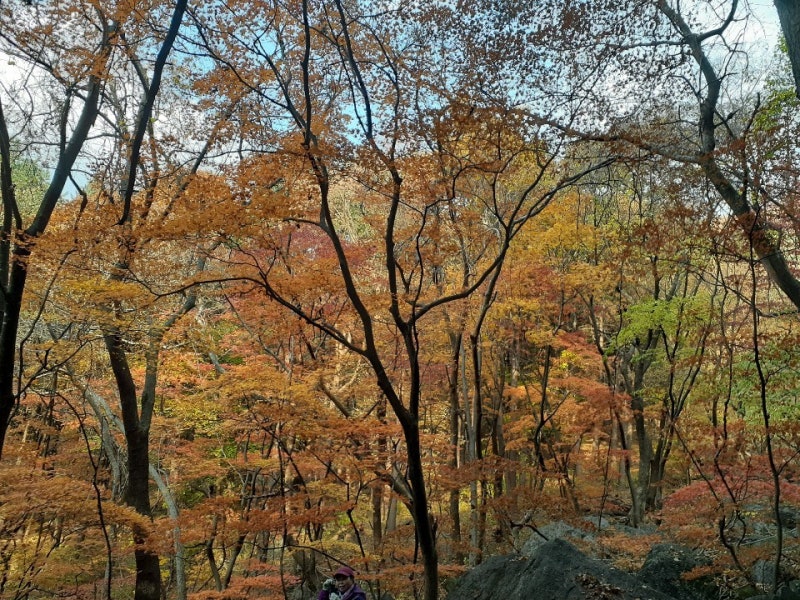 무늬 이름 일본어 - 물건 무늬 설명 /일본어회화, SJPT, JPT, JLPT : 네이버 블로그