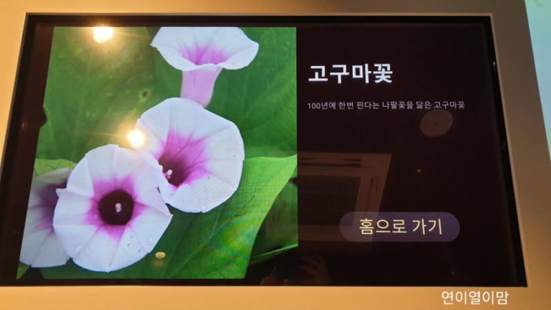 영도 조내기 고구마 역사기념관 아이와 부산 이색박물관 다녀왔어요~ 네이버 블로그