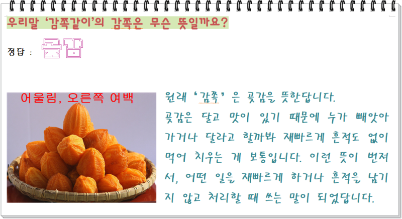 한컴한글 그림삽입 후 글자처럼취급 어울림 글뒤로 삽입그림 안보일때 크기고정 등 설정 네이버 블로그