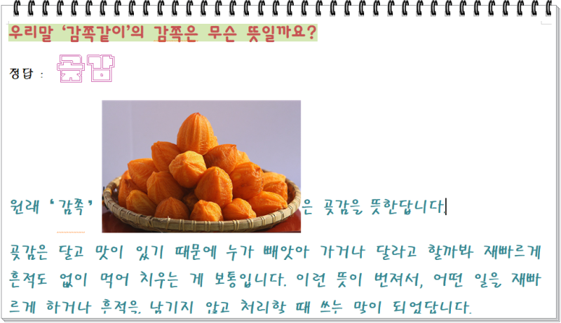 한컴한글 그림삽입 후 글자처럼취급 어울림 글뒤로 삽입그림 안보일때 크기고정 등 설정 네이버 블로그