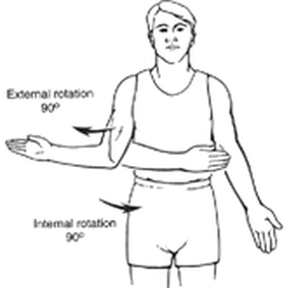 Effects of adding scapular stabilization exercises to a periscapular ...