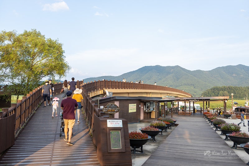 전남 순천여행 순천만 습지 용산전망대 S자 일몰 물때 시간표 네이버 블로그