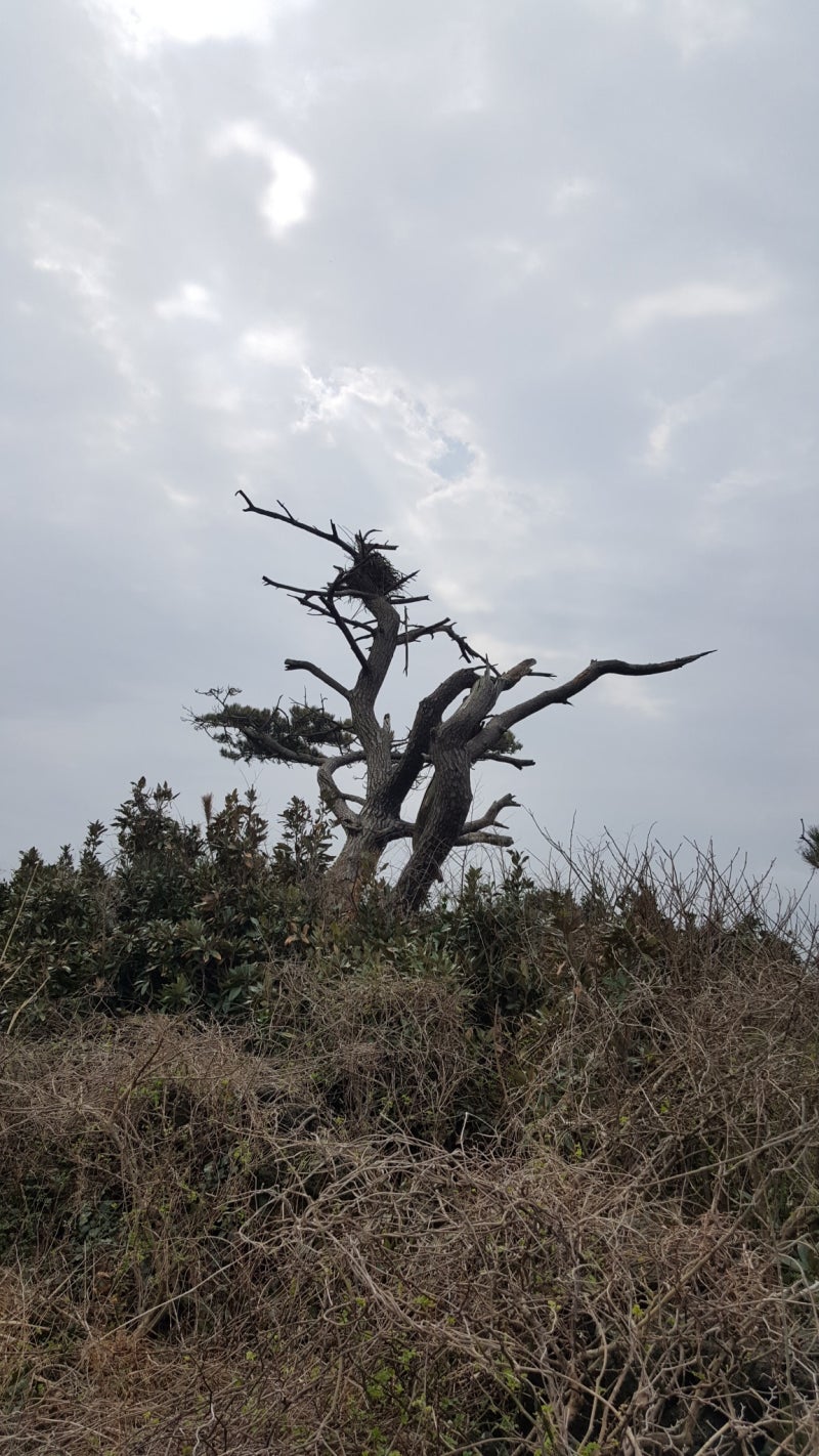고운님 소개 소형이사원룸이사지방이사투룸이사오피스텔이사용달이사서울에서 부산이사인천에서 부산이사부산에서 서울이사