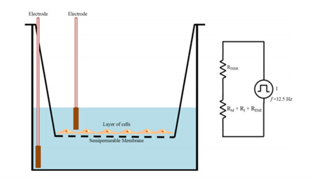 [WPI] 세포 TEER 측정기 - EVOM 2 (Voltage/Ohm meter) : 네이버 블로그