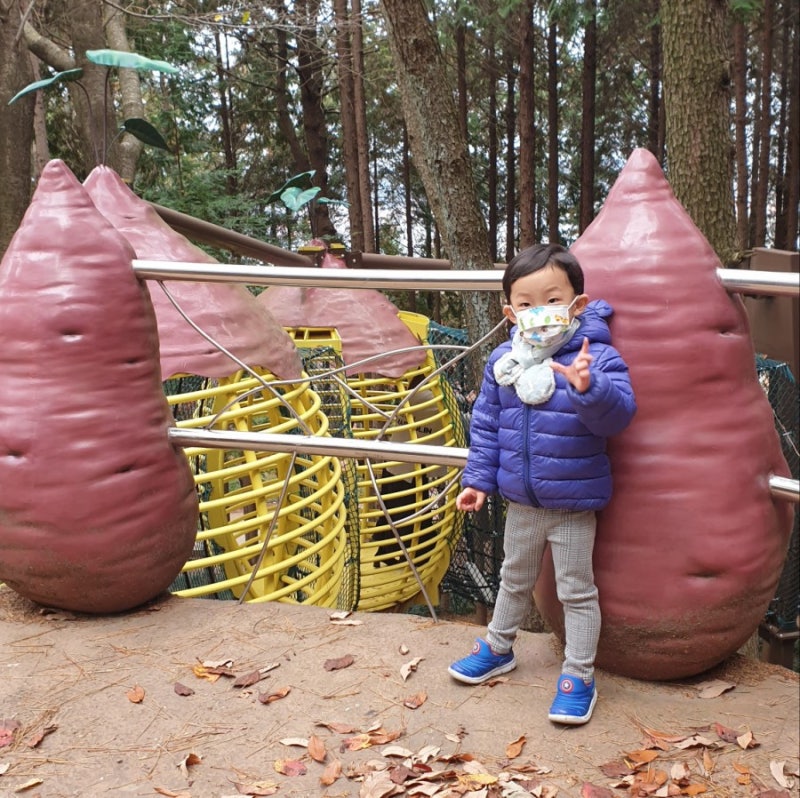부산여행 4살 아이와 가볼만한곳 봉래산 둘레길 영도 조내기 고구마 역사공원 네이버 블로그